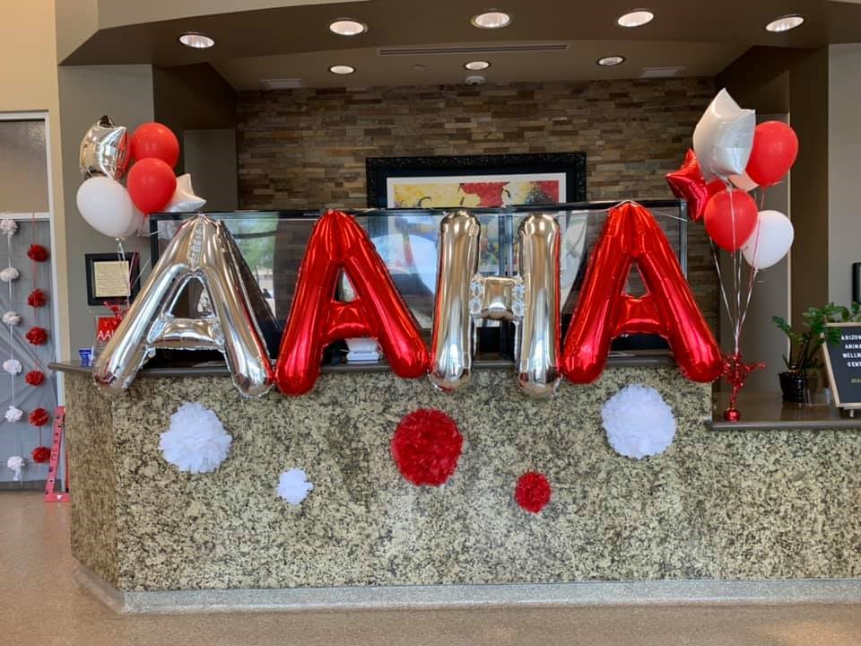 2021 AAHA-ACCREDITED HOSPITAL DAY RECAP - AAHA
