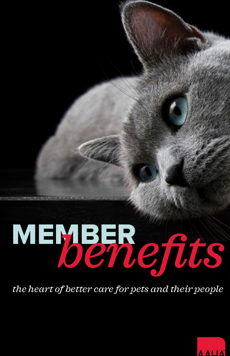 Inside AAHA: May 2020 - AAHA