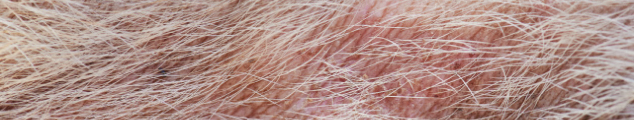 “Perhaps I Wasn’t Clear”: Mastering Dermatology Communication in Trying ...