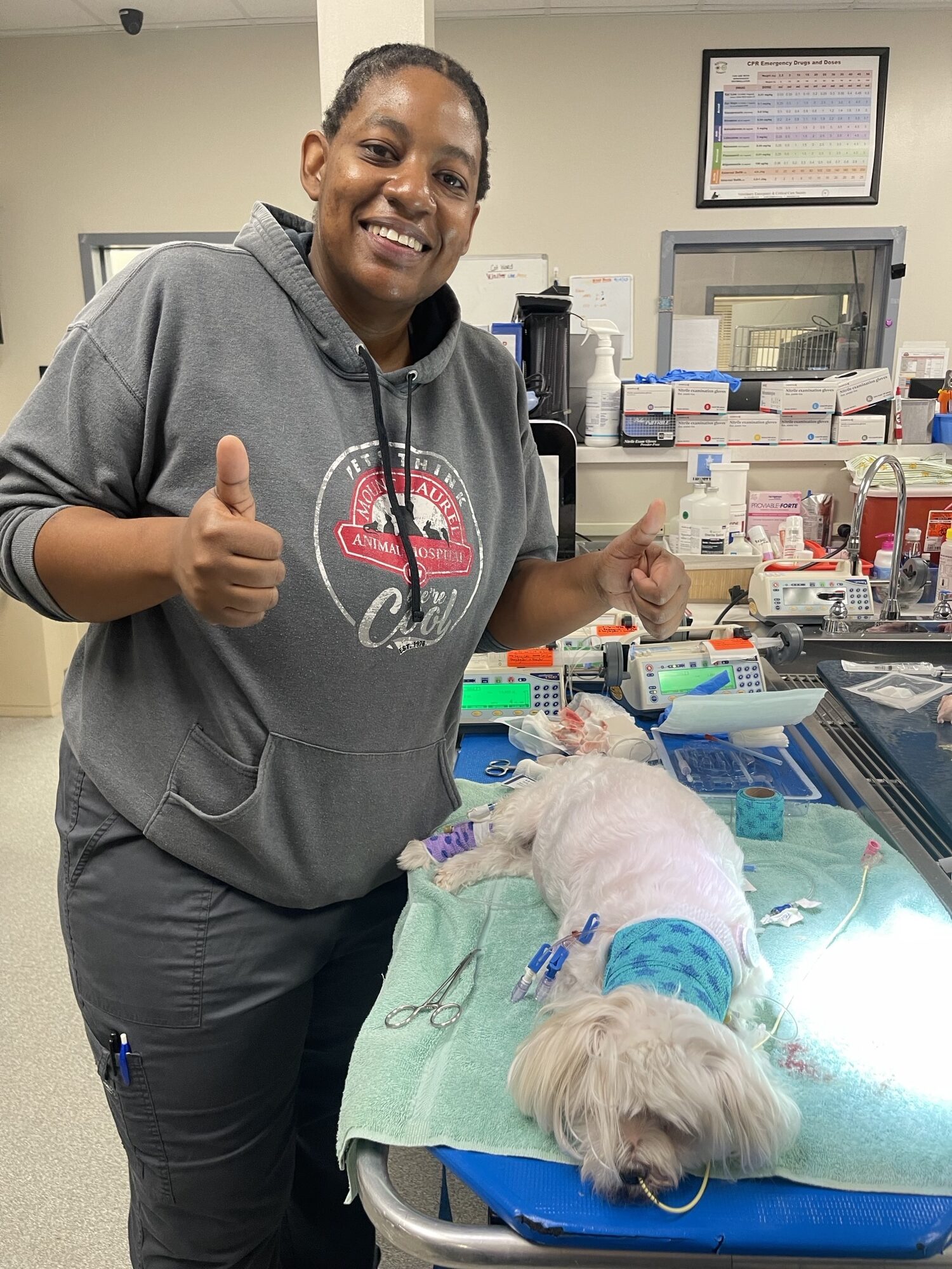 Vet Teams IRL: Morgan Rodgers, BS, CVT - AAHA