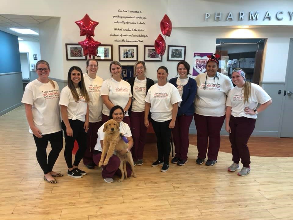 2021 AAHA-ACCREDITED HOSPITAL DAY RECAP - AAHA