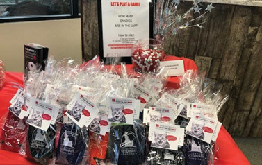 Inside AAHA: November 2020 - AAHA