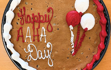 Inside AAHA: November 2020 - AAHA