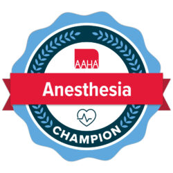 AAHA Anesthesia Safety & Monitoring Guidelines Certificate - AAHA