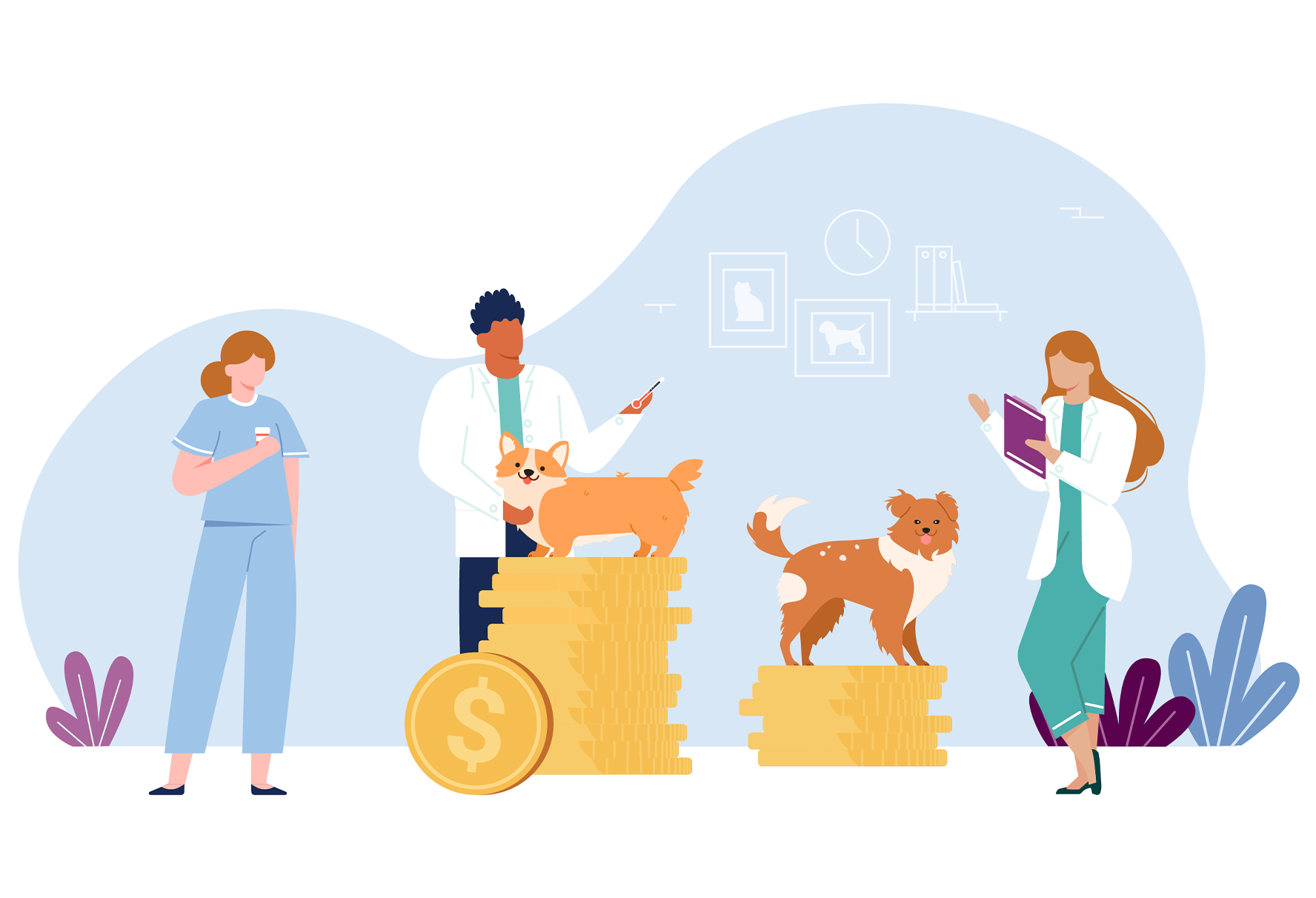 Veterinarian Starting Salary 2024