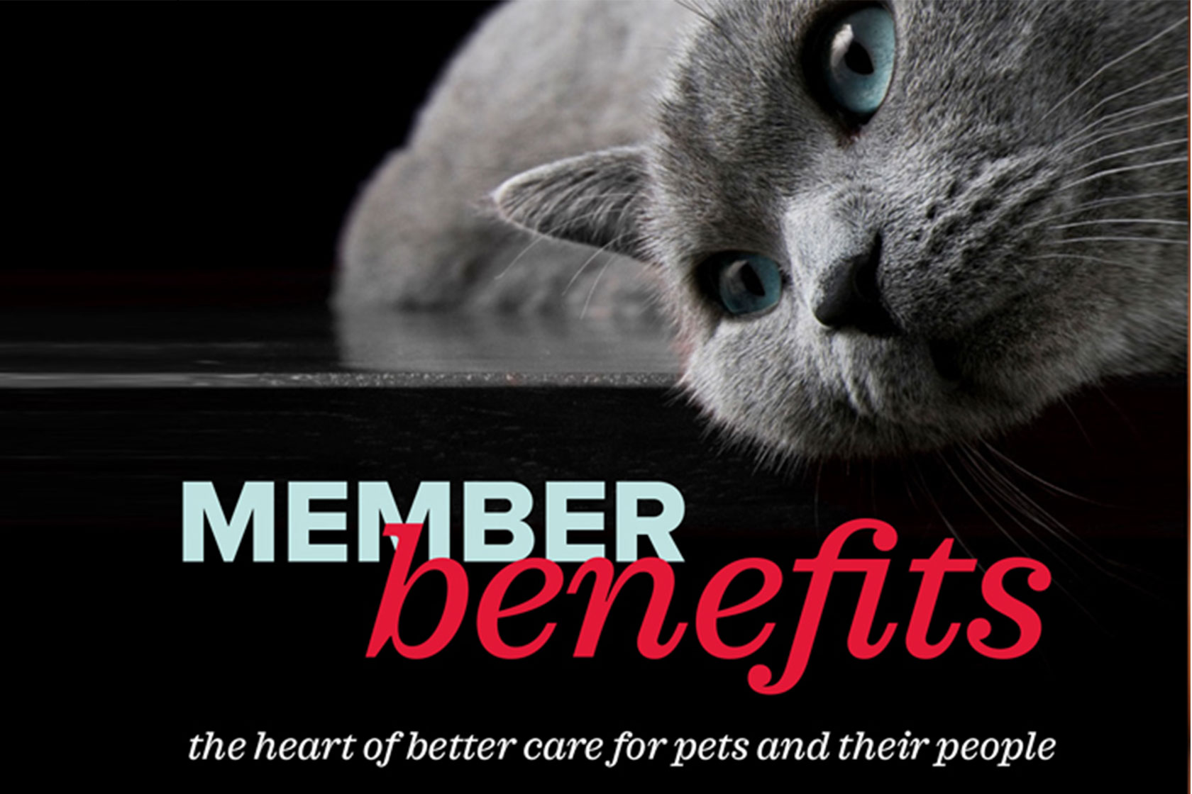 AAHA savings programs for members