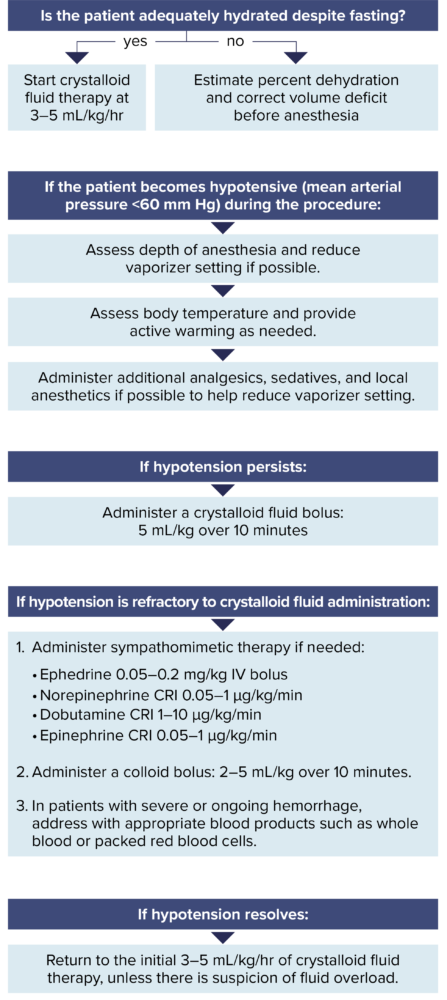 Section 4: Fluid Therapy and Anesthesia - AAHA