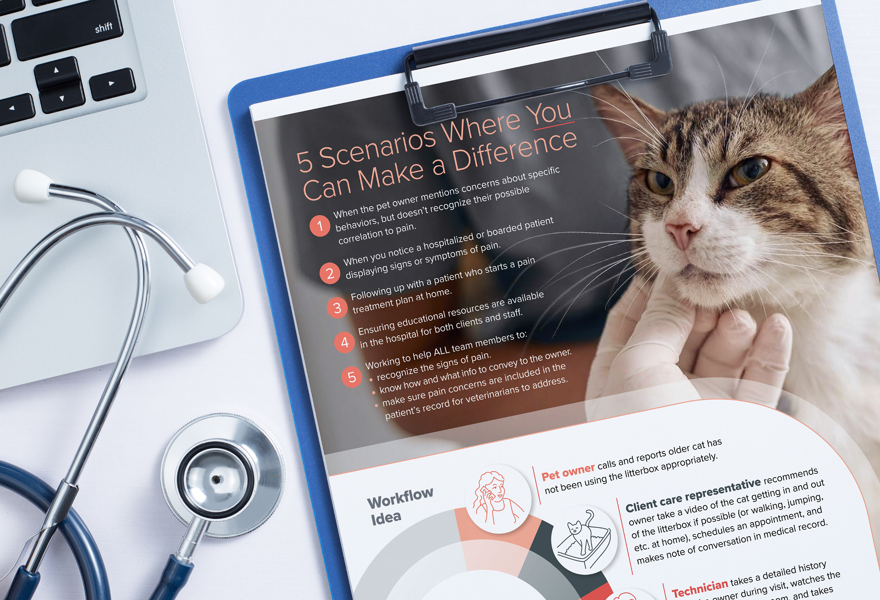 In Practice-Senior Cat Pain Management - AAHA