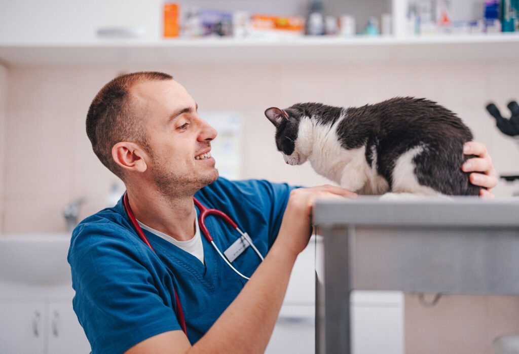 Volunteer Opportunities - AAHA