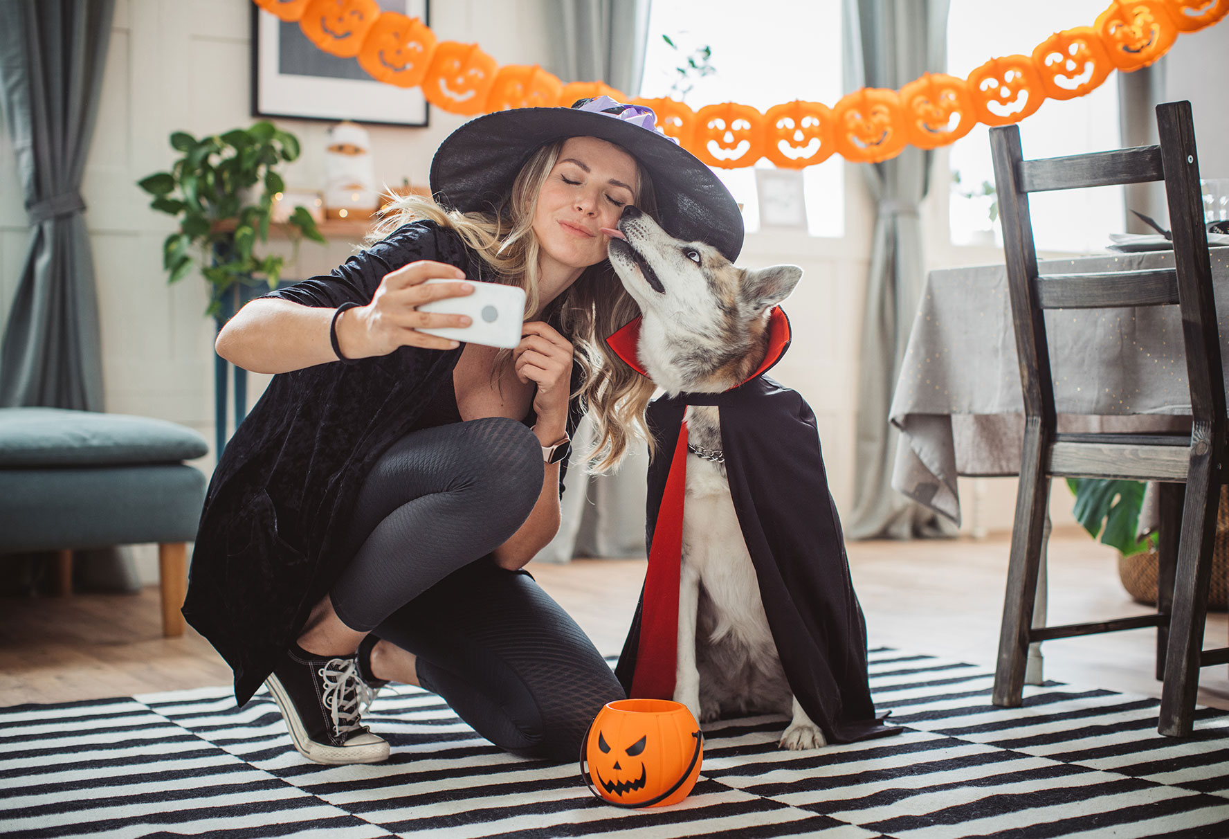 How to Have a Pet-Safe Halloween - AAHA