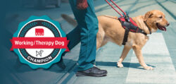 Benefits of Membership: American Animal Hospital Association - AAHA