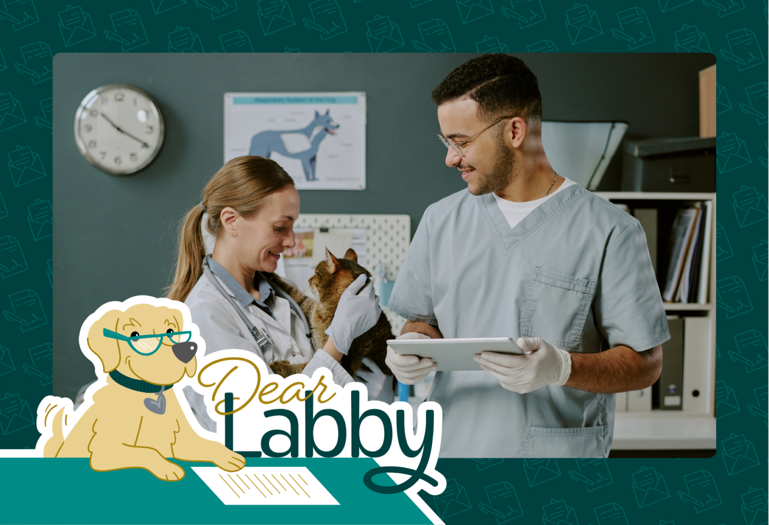 For Veterinary Professionals - AAHA