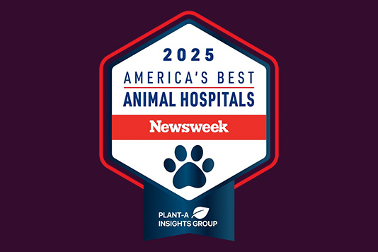 Find an AAHA Accredited Animal Hospital - AAHA