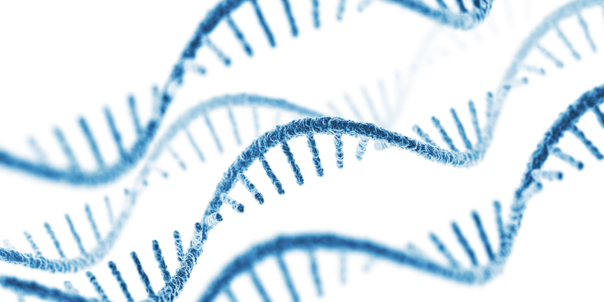 RNA vaccines: the way of the future? - AAHA
