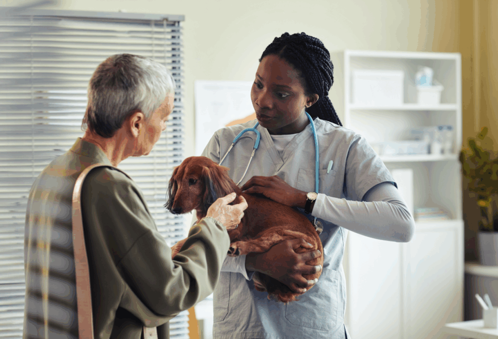 Wellness for Veterinary Professionals - AAHA