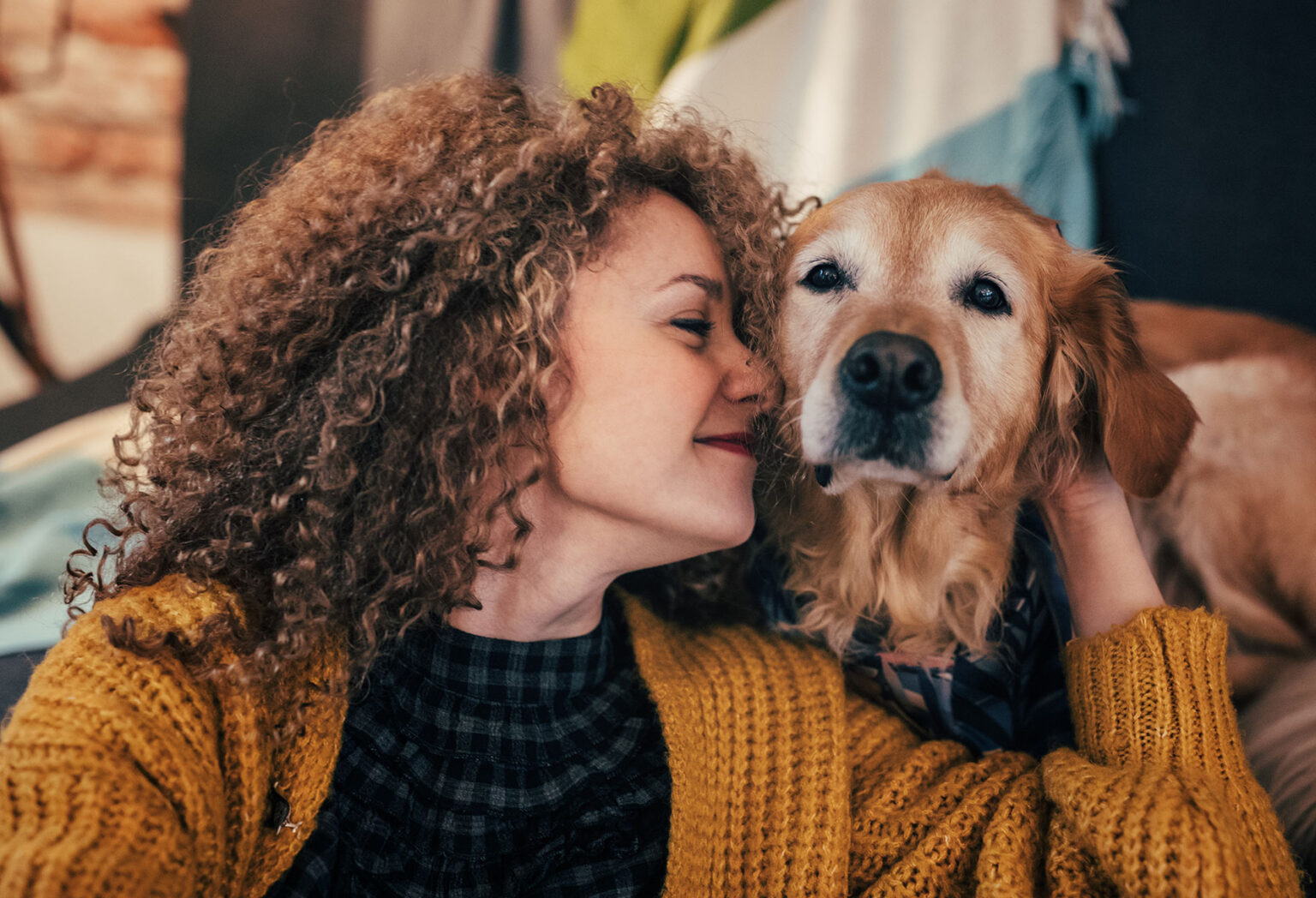 How Often Should My Dog Go to the Vet? A Dog Life Stage Guide - AAHA