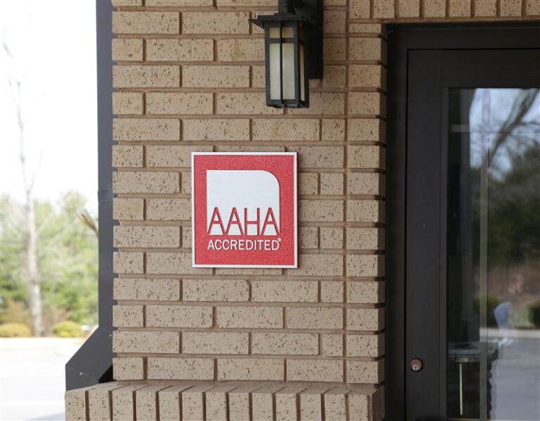 AAHA Accreditation Named Key Quality Indicator in Newsweek's America's ...