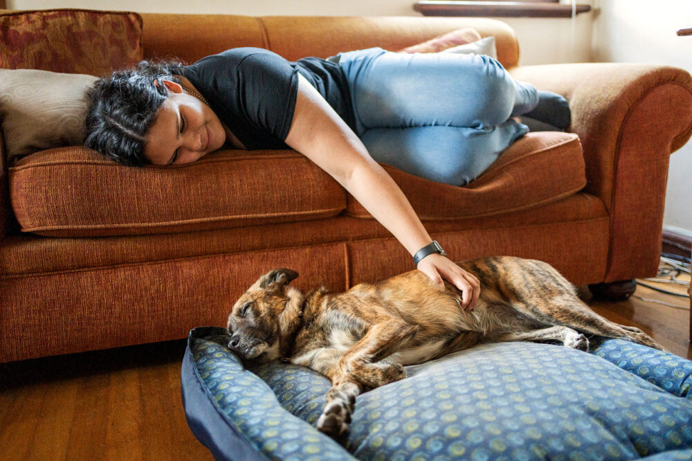 Adopting a rescue dog: What to expect - AAHA