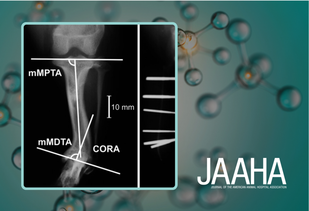For Veterinary Professionals - AAHA