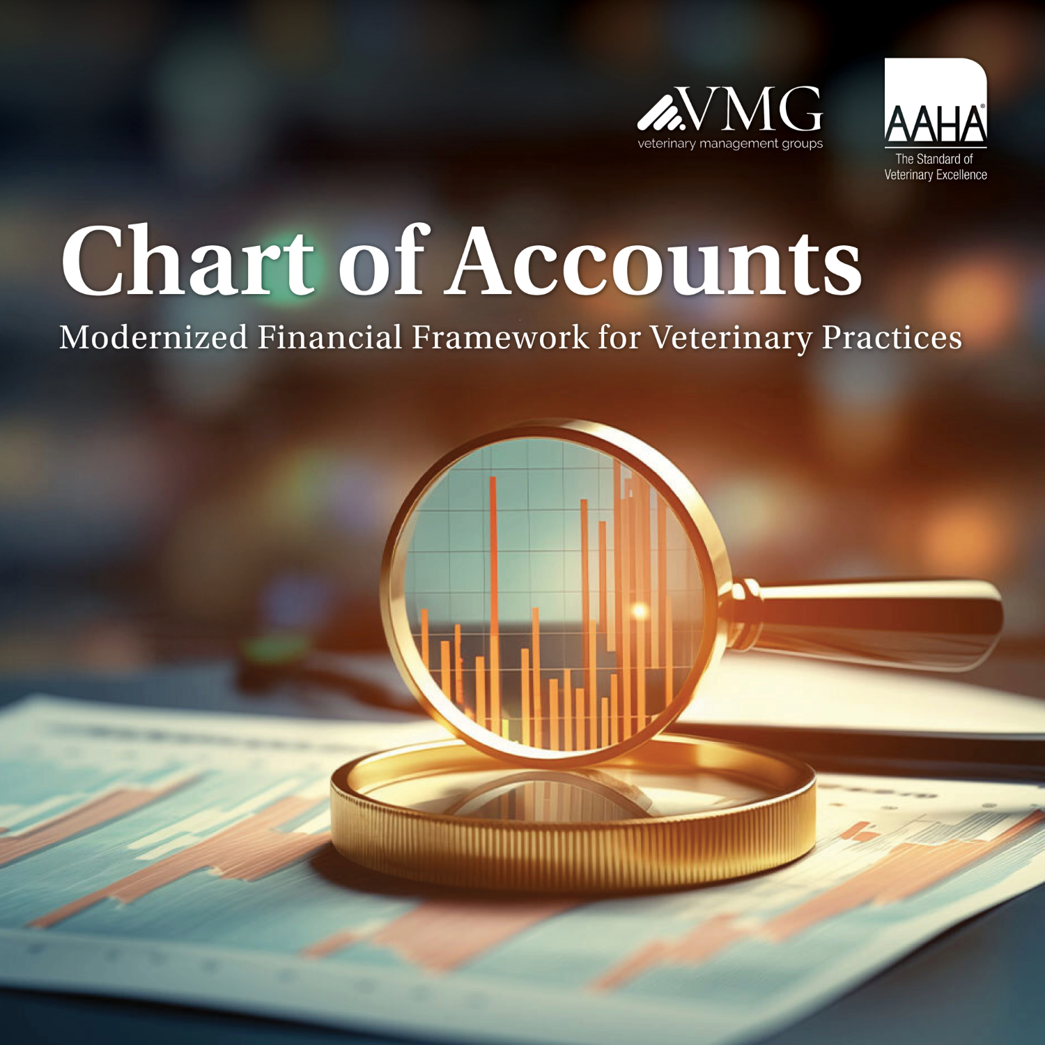 VMG and AAHA Release Updated Veterinary Chart of Accounts - AAHA
