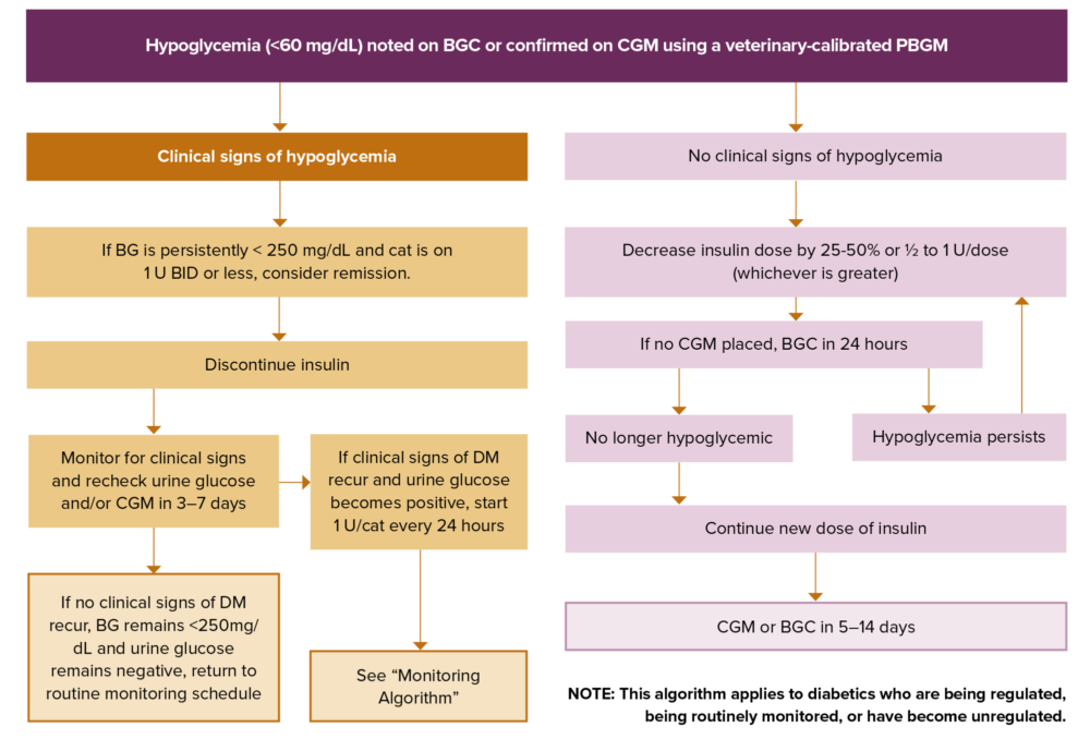 Section 15: Algorithms for Managing Hypoglycemia and Troubleshooting in ...