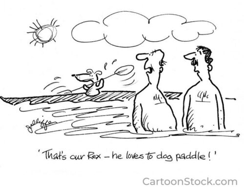 That's our Rex - he loves to dog paddle. - AAHA