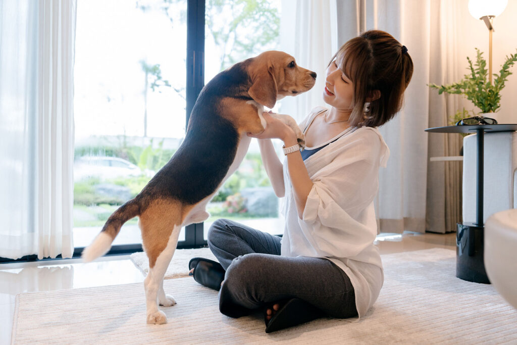 New dog checklist: Your step-by-step guide to a successful start - AAHA