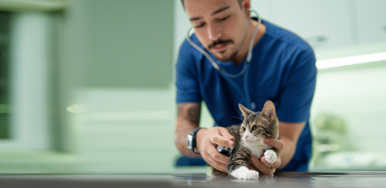 Levels of Veterinary Technician Utilization and Examples of Specific ...